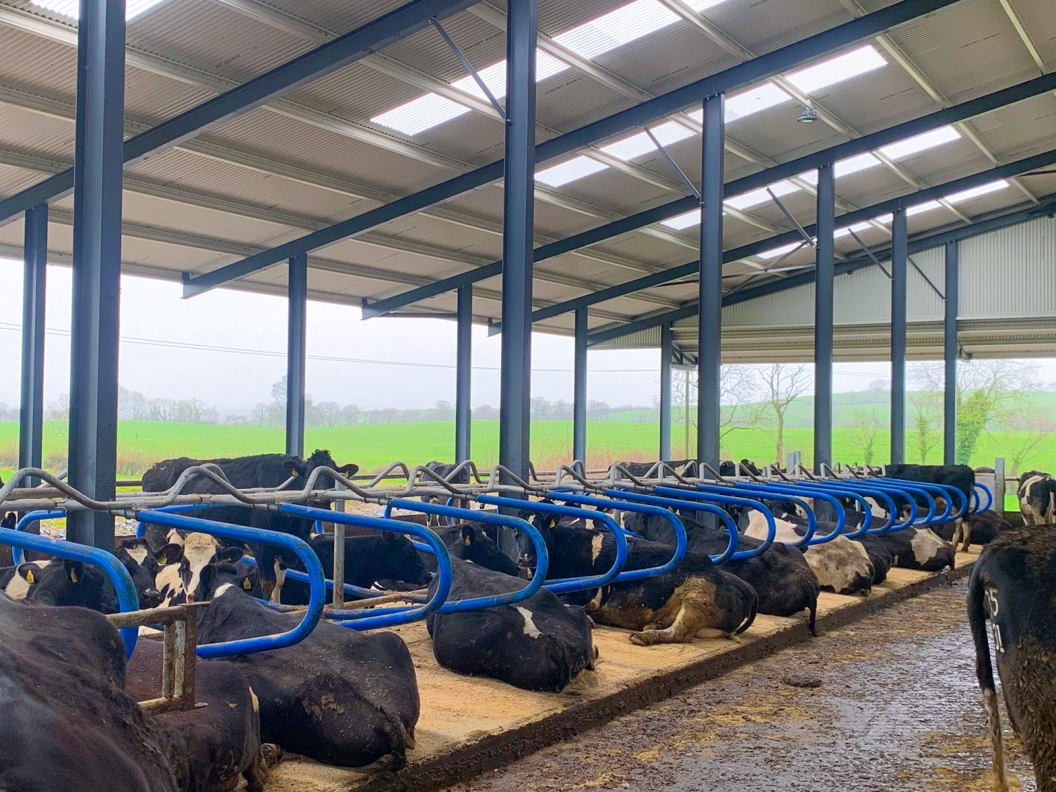 Hybrid Flex Cubicle | Cow Cubicles