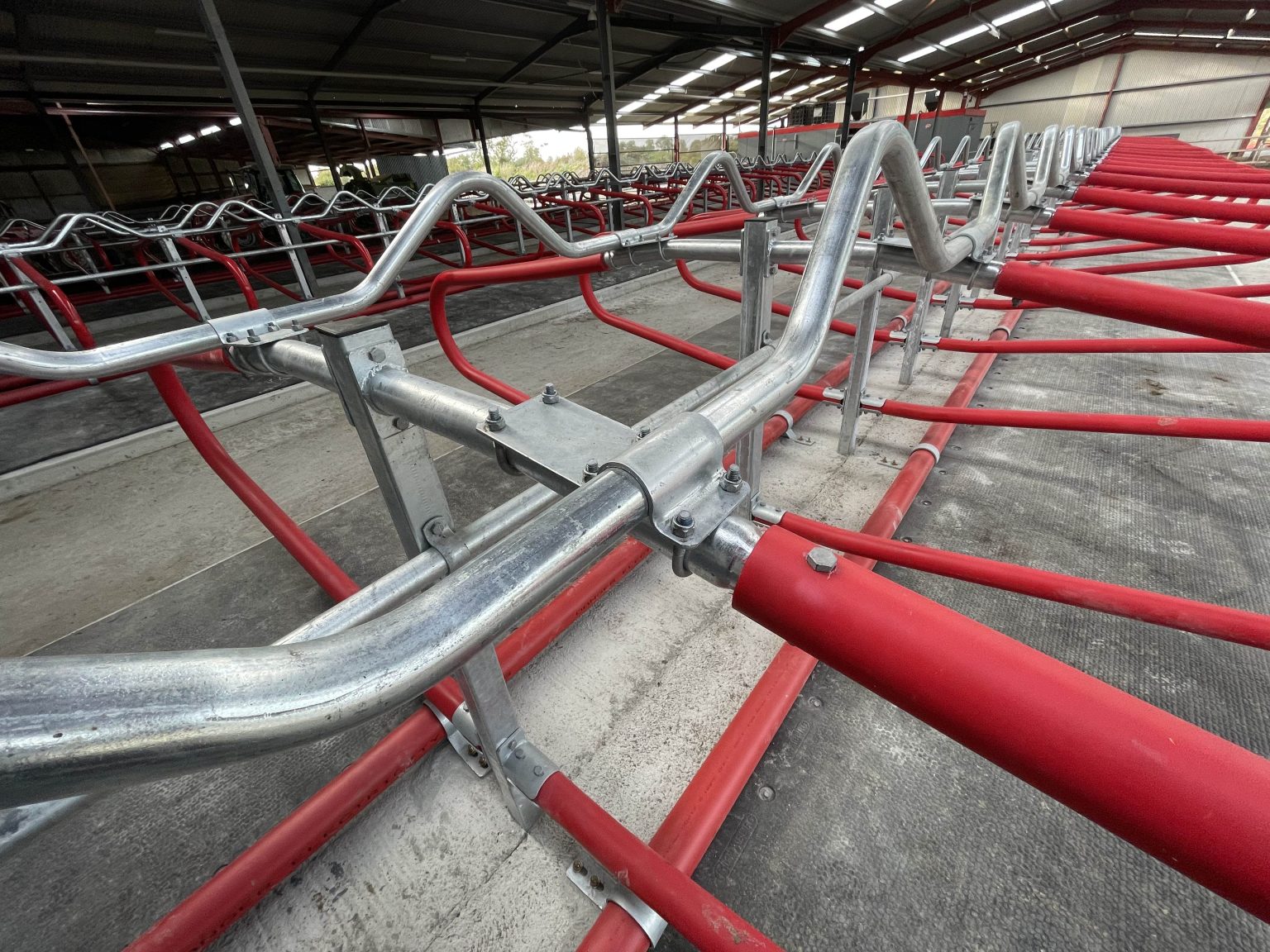 Hybrid Flex Cubicle | Cow Cubicles