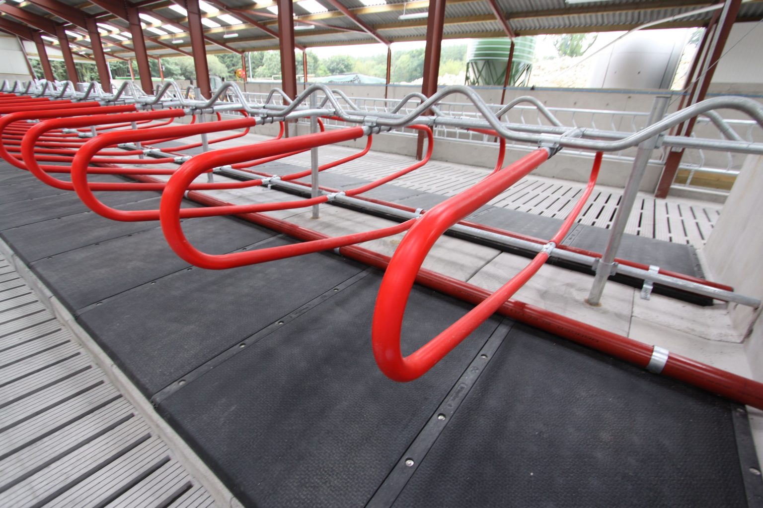 Cow Mattress | Kraiburg KEW Plus Mattress