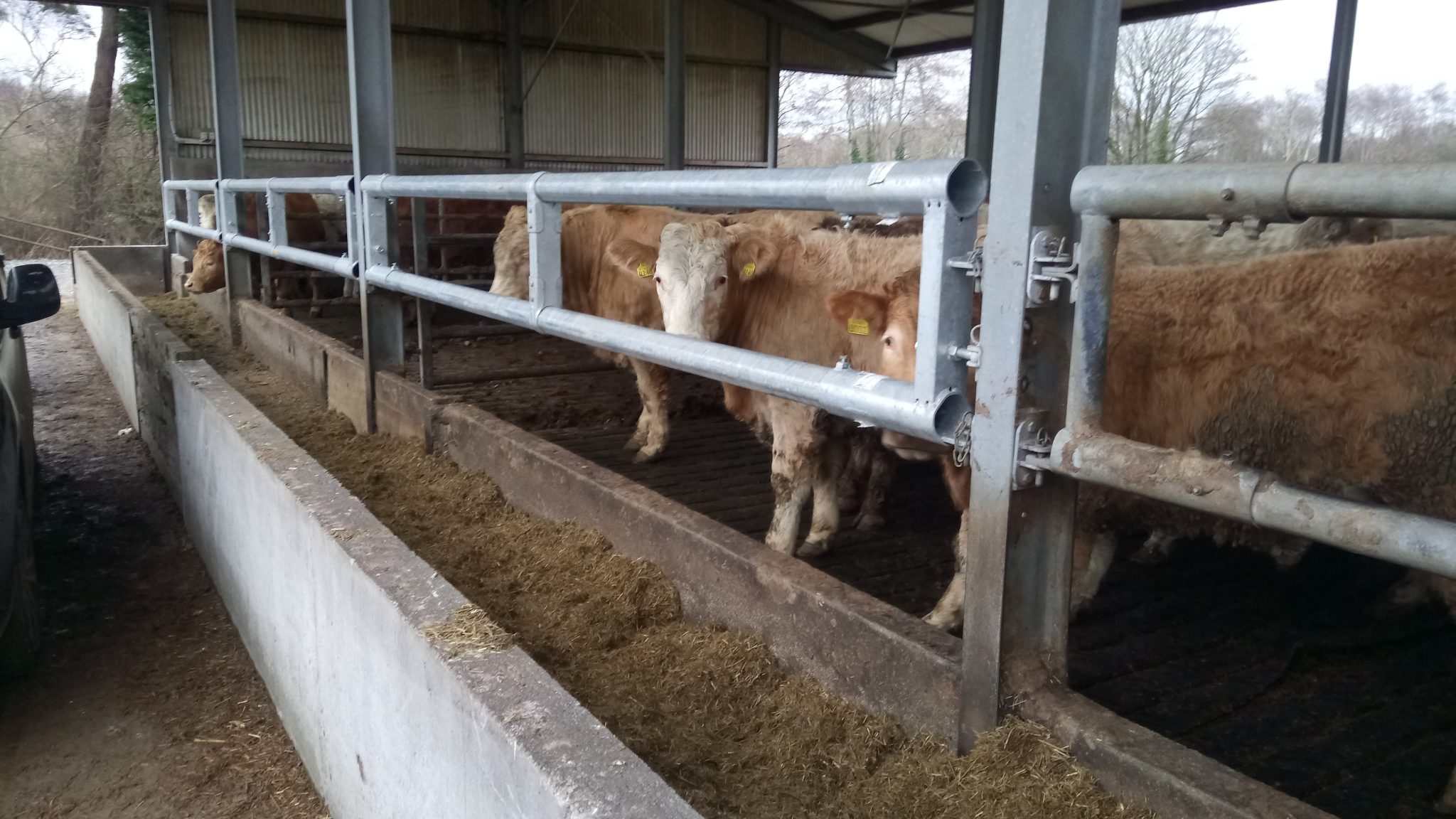 2 Bar Feed Rail - Condon Engineering