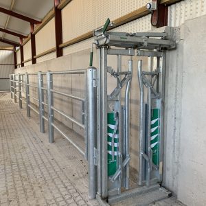 Beef Head Gate | Crush Gate