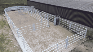 Circular Handling System - Condon Engineering