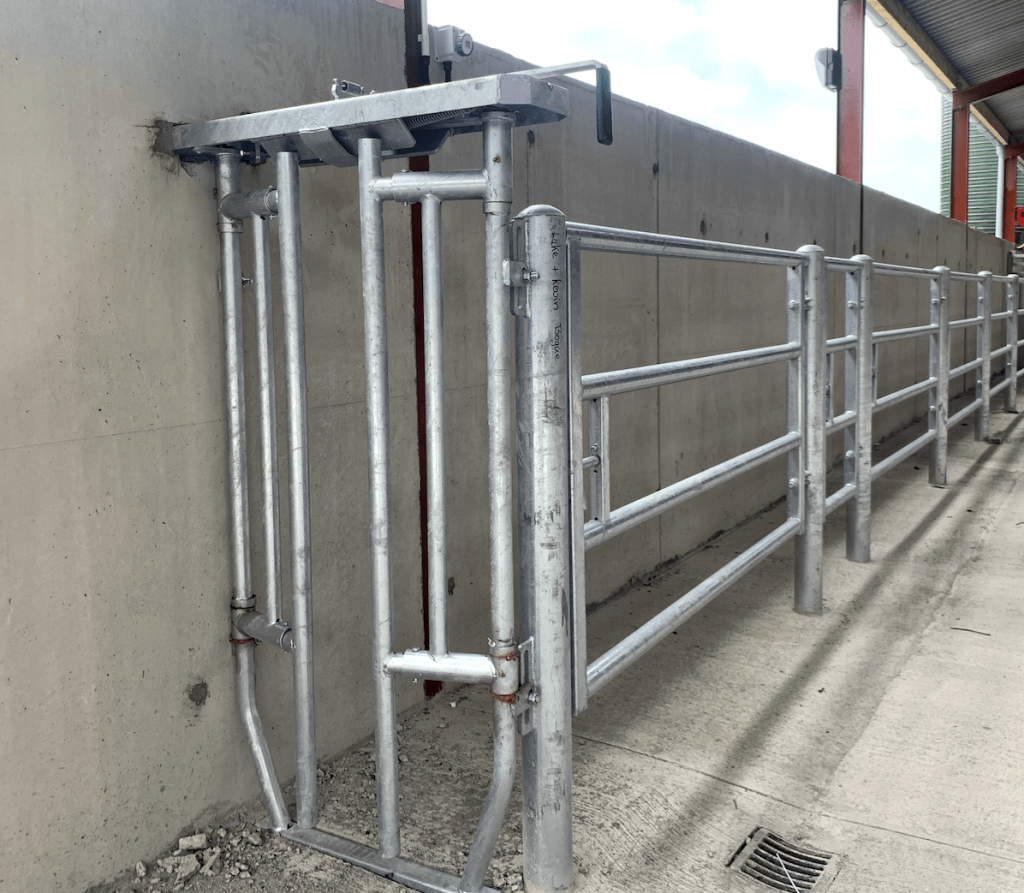 Condon Semi-Auto Head Gate - Condon Engineering
