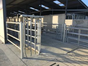 Semi-Auto Head Gate - Condon Engineering