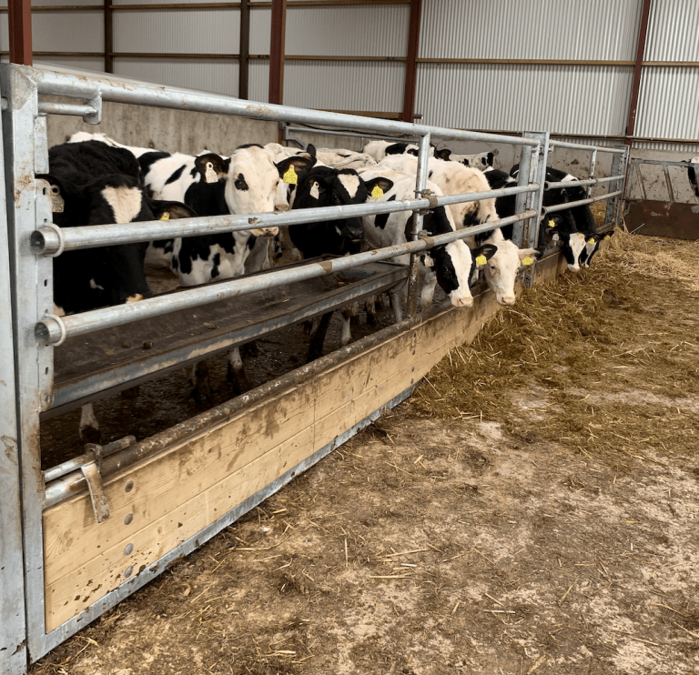 Weanling Feed Barrier - Condon Engineering