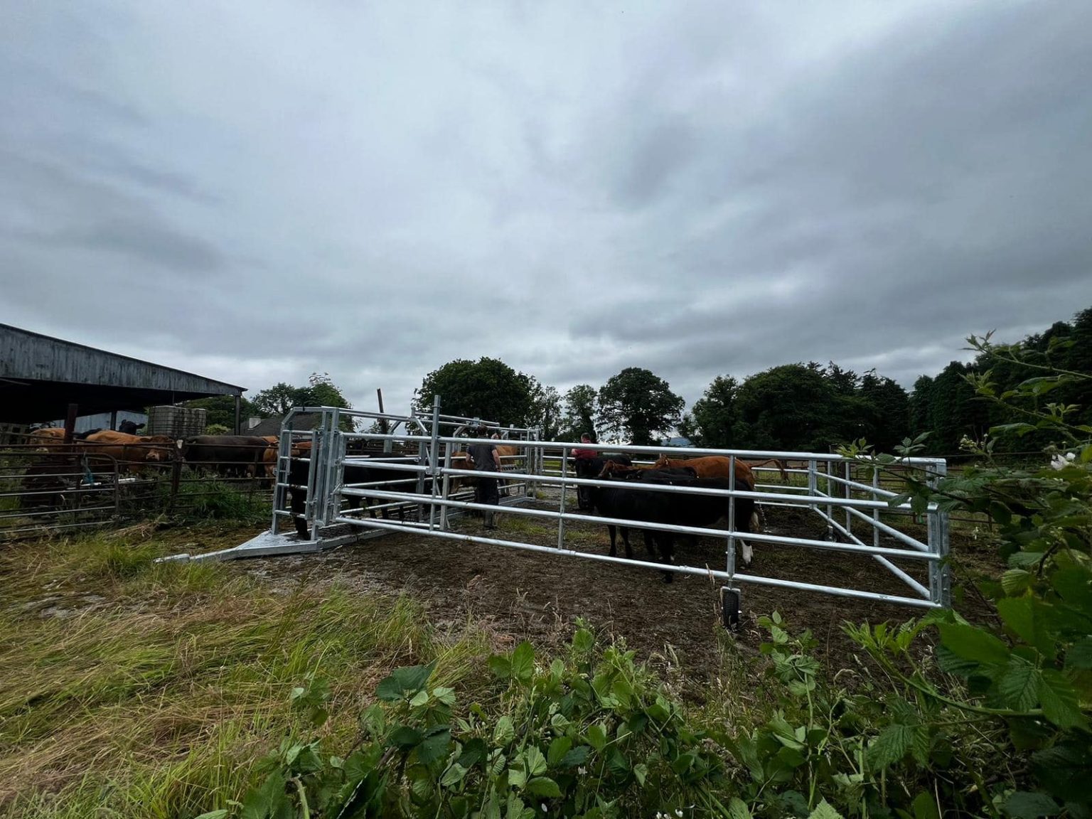 20ft Mobile Cattle Crush | Mobile Crushes